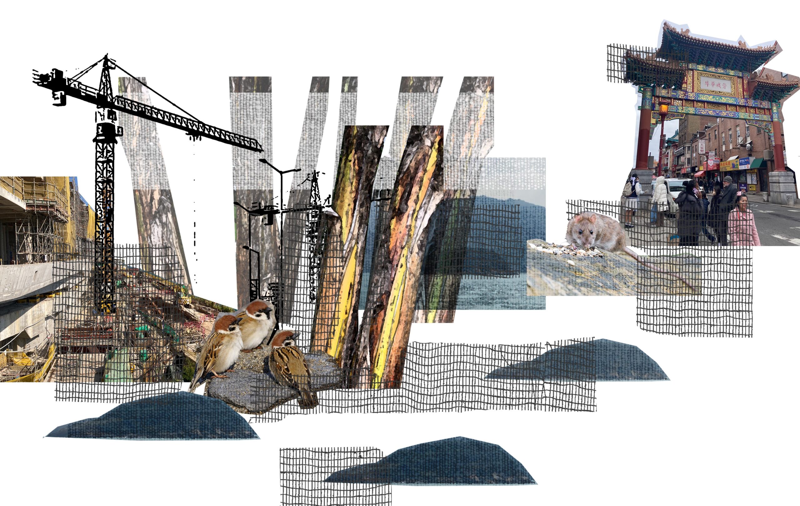 Multispecies Relations Across Diasporic Landscapes - The Sachs Program ...