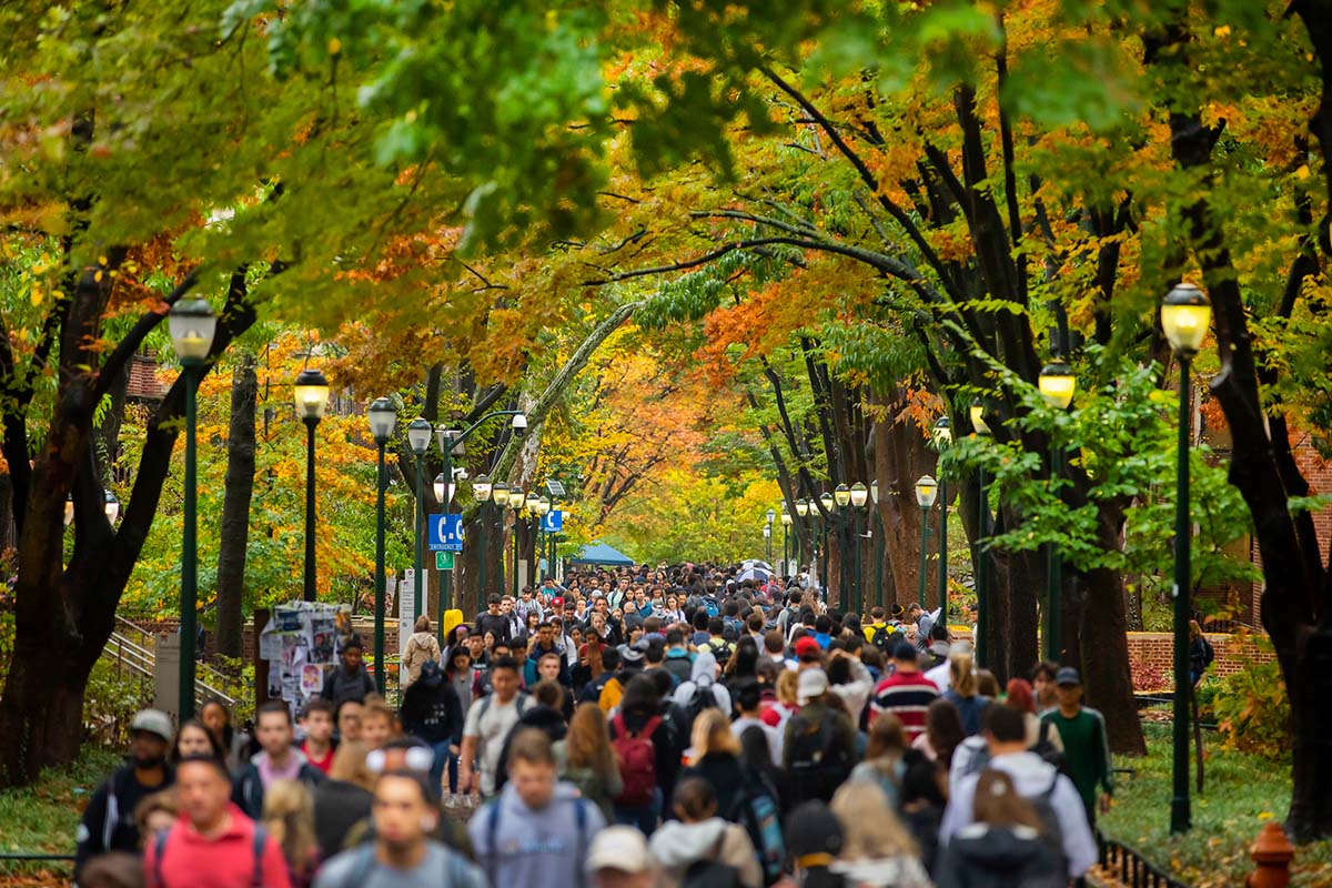 Arts Leadership in Higher Education: Navigating the Future — a Panel ...